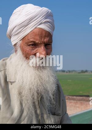 White bearded sikh farmer Fatehgarh Channa Punjab India Stock Photo - Alamy