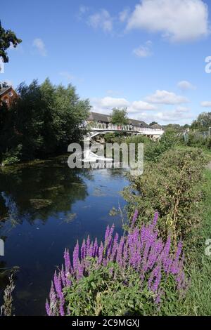 market town centre of Bishops Stortford, on the River Stort, high ...