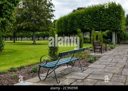 Pleached Boxhead Hornbeam tree arch or allee, St Mary's Pleasance 17th ...