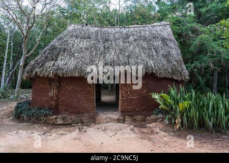 A typical traditional thatched-roofed wattle and daub hut in the ruins ...