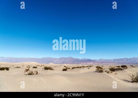 Hikers at Mesquite Flat sand dunes, sunrise, Death Valley, California ...
