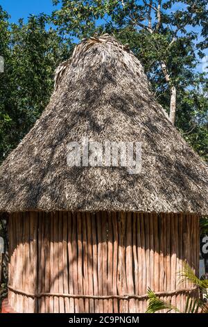 A traditional thatched hut in an indigenous, ethnic Hamer (Hamar) tribe ...