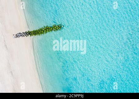 Aerial view of bright landscape with green forest trees and big rocky ...