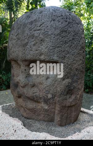 Monument 4 Olmec colossal head at La Venta. Villahermosa, Tabasco ...