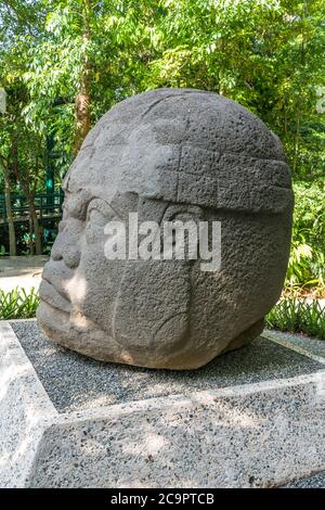 Olmec sculpture carved from stone. Big stone head statue in a jungle ...