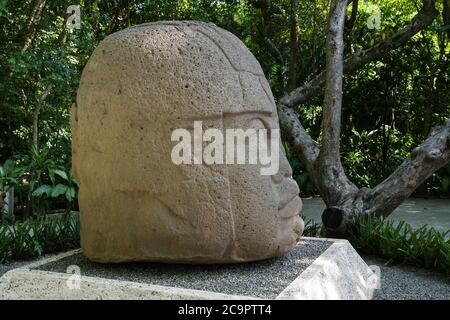 Giant Olmec stone carving Monument 56 monkey in La Venta park ...