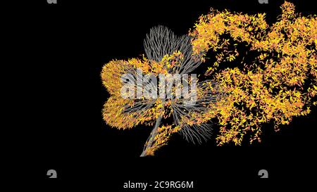 Growing Tree in a shape of Clover. Eco Concept. St. Patrick's day. 3D ...