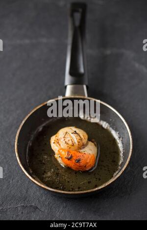 A pan seared scallop, Pecten maximus, that has been served in the shell ...