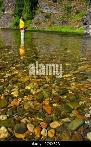 Flyfishing the St. Joe Wild and Scenic River, St. Joe National Forest ...
