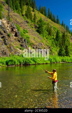 Flyfishing the St. Joe Wild and Scenic River, St. Joe National Forest ...