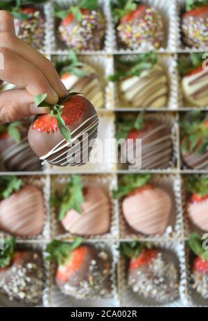 Chocolate dipped strawberries Stock Photo - Alamy