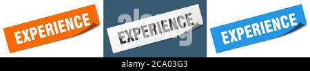 experience sticker. experience rectangular label isolated on white ...