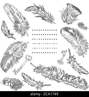 Hand drawn birds set. Coloring book page template. Outline doodle ...