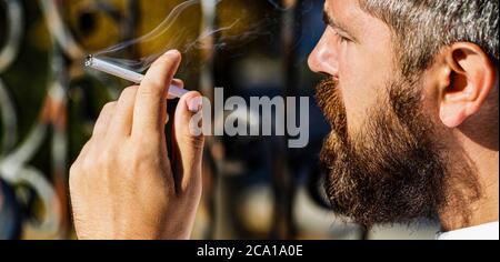 Smoldering cigars. Smoking male, smoke cigar. Smoking man with beard ...