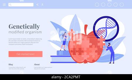 Genetically modified organism concept landing page Stock Vector Image & Art - Alamy
