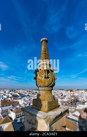 Spain Andalusia Seville Province Utrera the Ayala stud farm (Yeguada ...