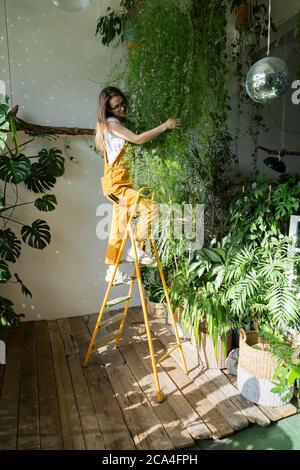 Woman in greenhouse standing fern in pot on rack Stock Photo - Alamy