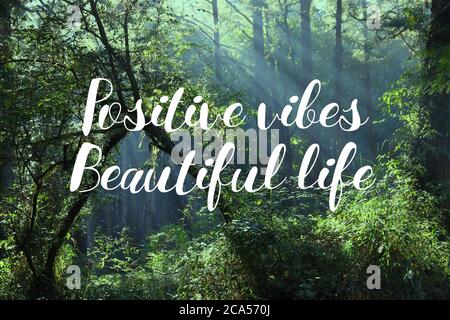 Inspirational Motivational Quote, Life Wisdom - Work hard, focus on ...