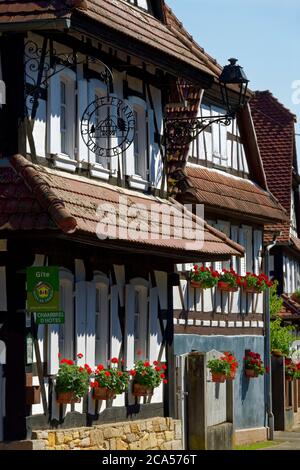 France, Bas Rhin, Hunspach, labelled Les Plus Beaux Villages de France ...