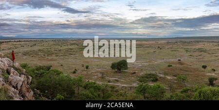 Tanzania, WMA (wildlife management area) of Randilen, Monduli district ...