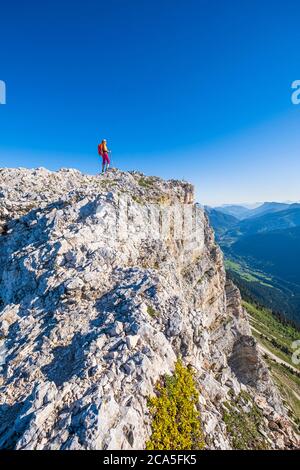 France, Isere, Chartreuse massif, hike to Chamechaude (alt : 2082m ...