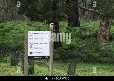 Australia, Victoria, Arapiles-Tooan National Park, Arapiles Stock Photo ...