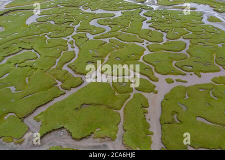 Mulranny salt marshes, Mayo, Ireland Stock Photo - Alamy