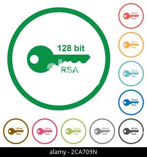 128 bit rsa encryption flat white icons on round color backgrounds. 6 ...