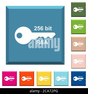 256 bit rsa encryption white flat icons on color rounded square backgrounds Stock Vector Image ...