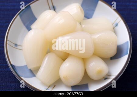 Rakkyo, Pickled Japanese leek, Pickled scallions in a dish Stock Photo ...