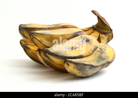 cardava banana (also known as saba banana) isolated on white background ...