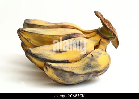 cardava banana (also known as saba banana) isolated on white background ...