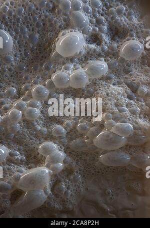 Gold ore concentration by stirring and flotation on gold mining and ...