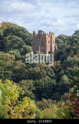 Stone-built folly in woodland habitat, The Burn, Glen Esk, near Edzell ...