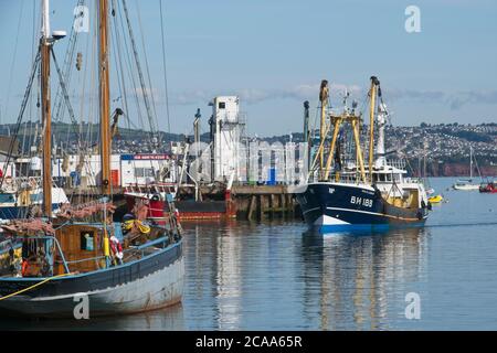 Brixham Trawler BM188 Sam of Ladram returning to port Large seagoing ...