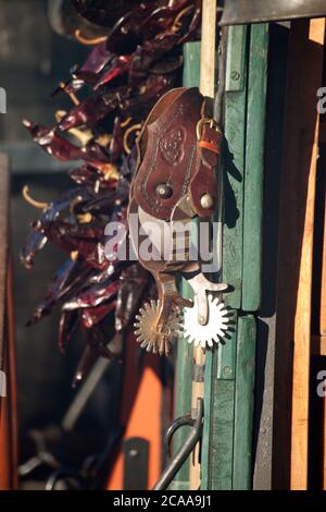 spur hanging in the sunshine Stock Photo - Alamy