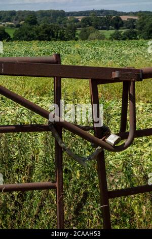 Locked field gate Stock Photo - Alamy