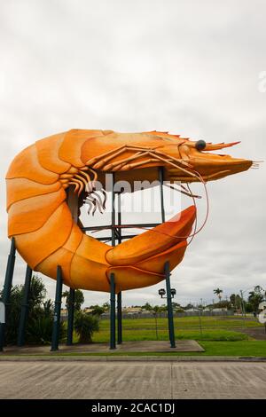 The Big Prawn in Ballina is one of the Big Things in Australia Stock ...