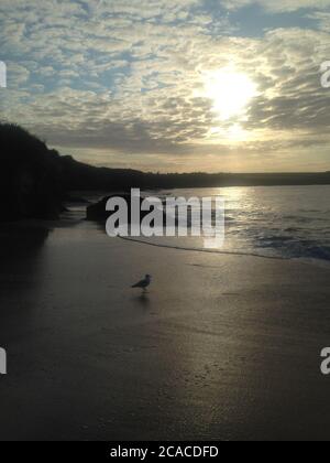 Empty Cornish Beach, Harlyn Bay Stock Photo - Alamy