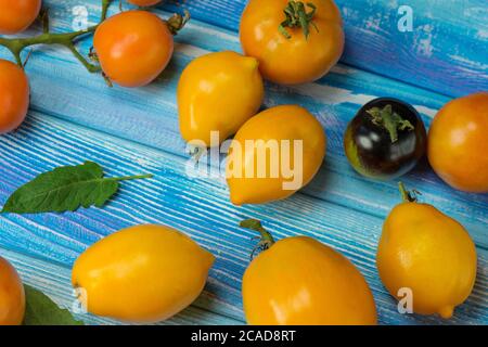 Group of fresh tomatoes. Beautiful ripe different varieties tomatoes ...