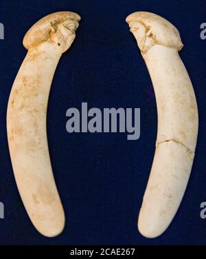 Egypt, Cairo, Egyptian Museum, ivory clappers with heads of asian ...