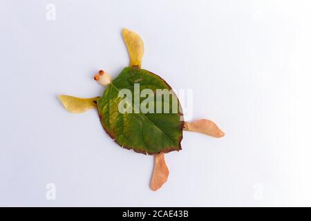 easy nature craft for kids, turtle made from leaves, ideas for autumn ...