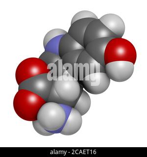 5-Hydroxytryptophan amino acid molecule. 3D rendering Stock Photo - Alamy