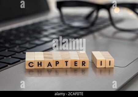 CHAPTER 11 letter blocks business finance concept on laptop keyboard ...