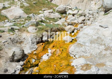 Ladakh, India - Hot spring at Panamik Village in Nubra Valley, Ladakh ...