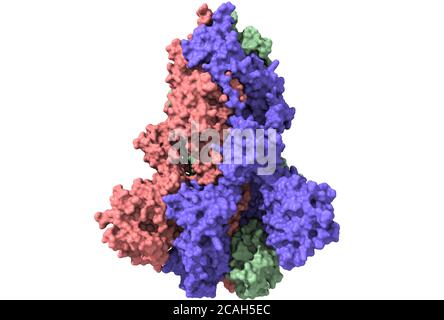 Structure of the SARS-CoV-2 spike glycoprotein, surface model, black ...