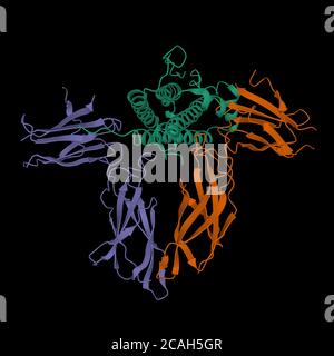 Human growth hormone molecule, illustration Stock Photo - Alamy