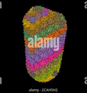 illustration of the structure of HIV (human immunodeficiency virus ...