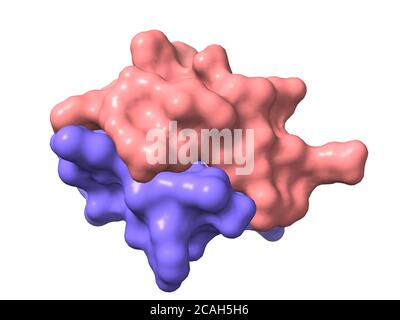 3D computer model of the glucose molecule Stock Photo - Alamy
