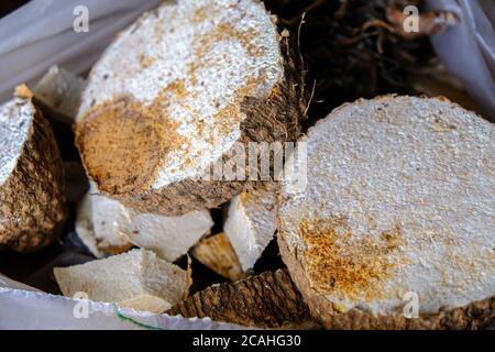 spoilt rotten sliced Nigerian white yam to be thrown away Stock Photo ...